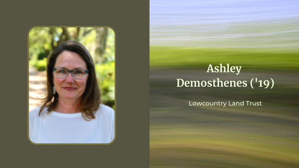 Liberty Fellows Leading in Sustainability – Liberty Fellowship